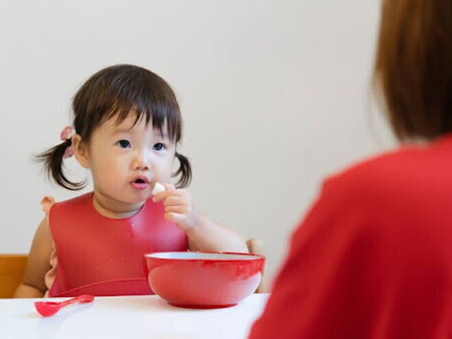 Little Learners at the Table: Building Healthy Mealtime Routines with ...