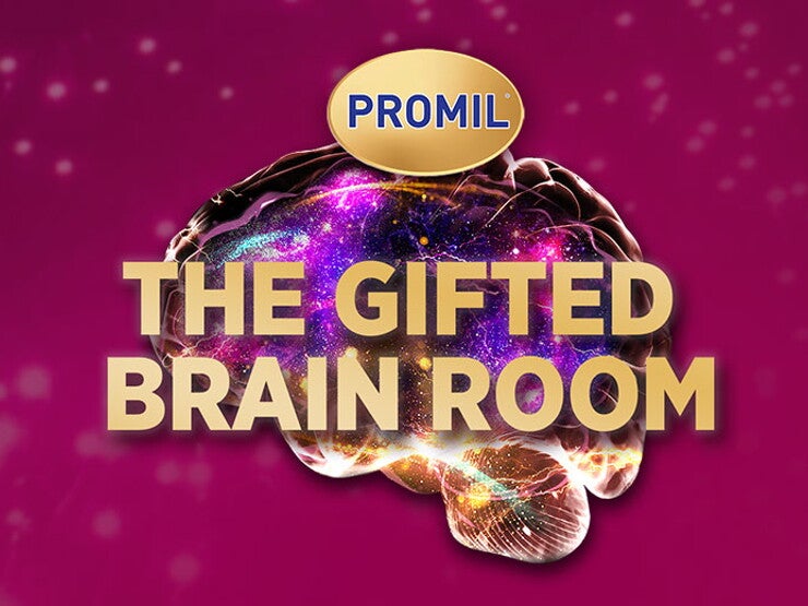 Gifted Brain Room | parenTeam